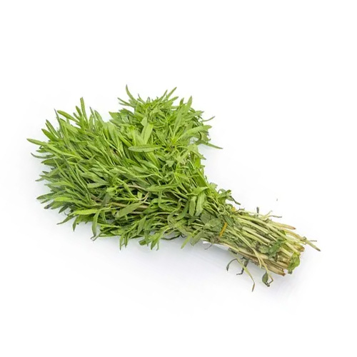 N.R.T.C. DUBAI INTERNATIONAL VEGETABLES & FRUITS TRADING (LLC) Online ...